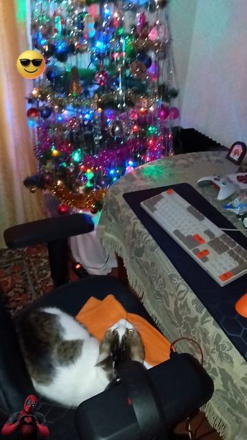 Мурзик к Стриму ГГотов, а ВЫ???