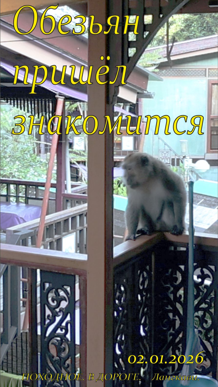 Малайзия. Лангкави. Обезьяна на нашем балконе