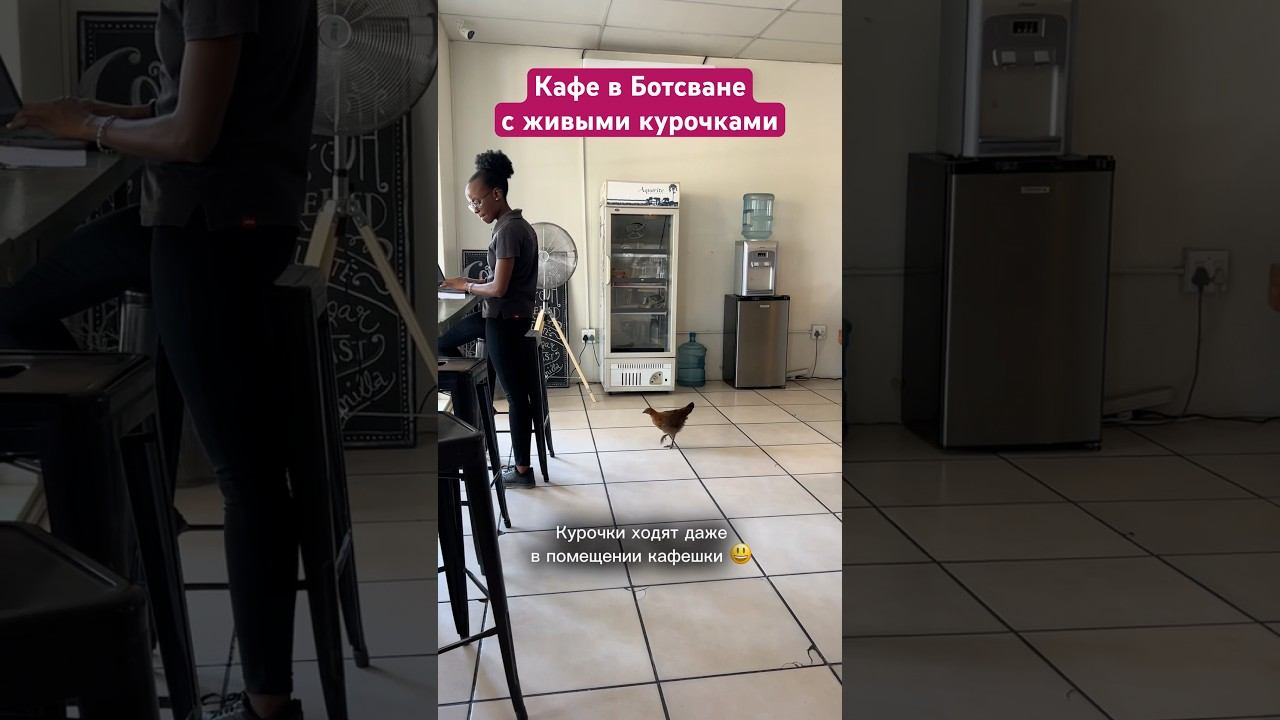 Африка.Ботсвана.Завтракаем в кафе с живыми курочкамиПро трип по 7 странам Африке на авто в профиле