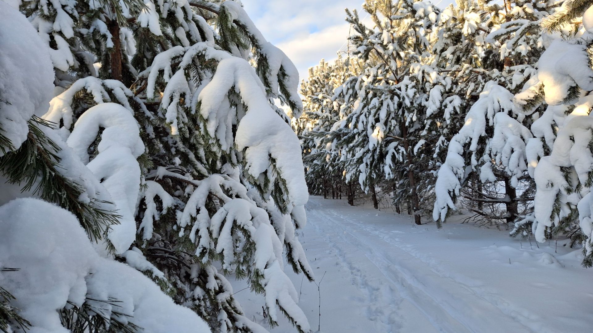 Зимушка зима в Сибири