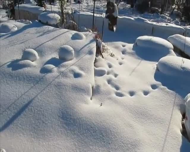 Декабрь укутал всё снегами... 2 часть.