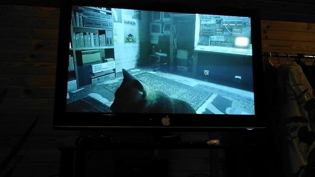 Знакомство с B-12!Прохождение STRAY #2