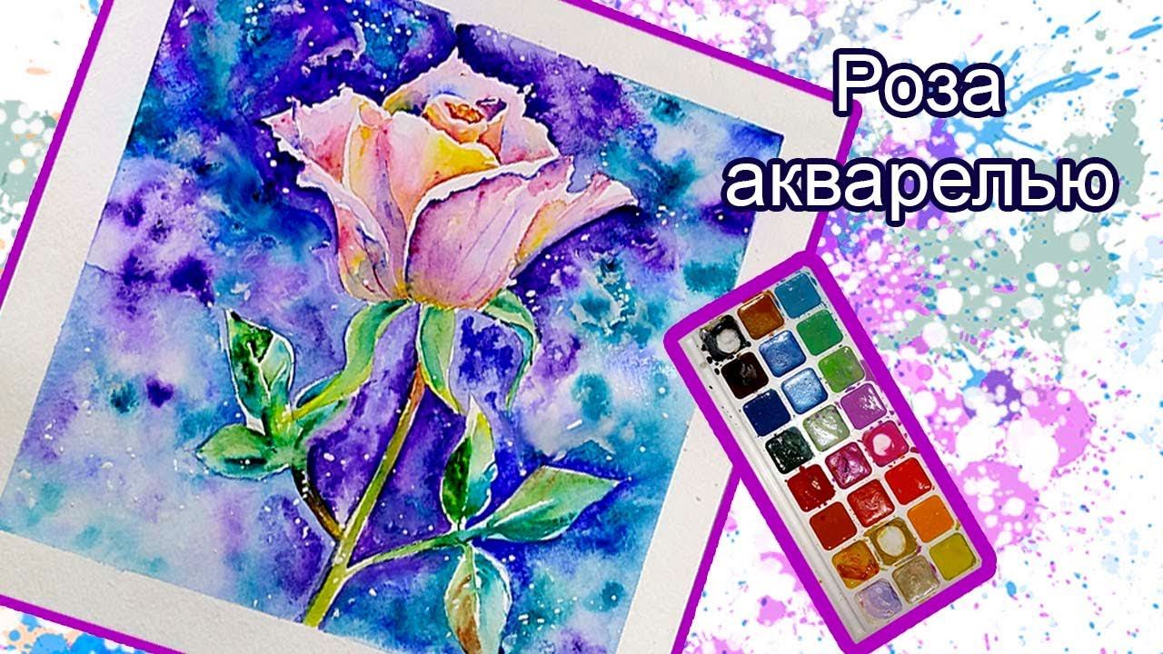 Розовая роза акварелью. Рисунок акварелью. Рисование цветов.