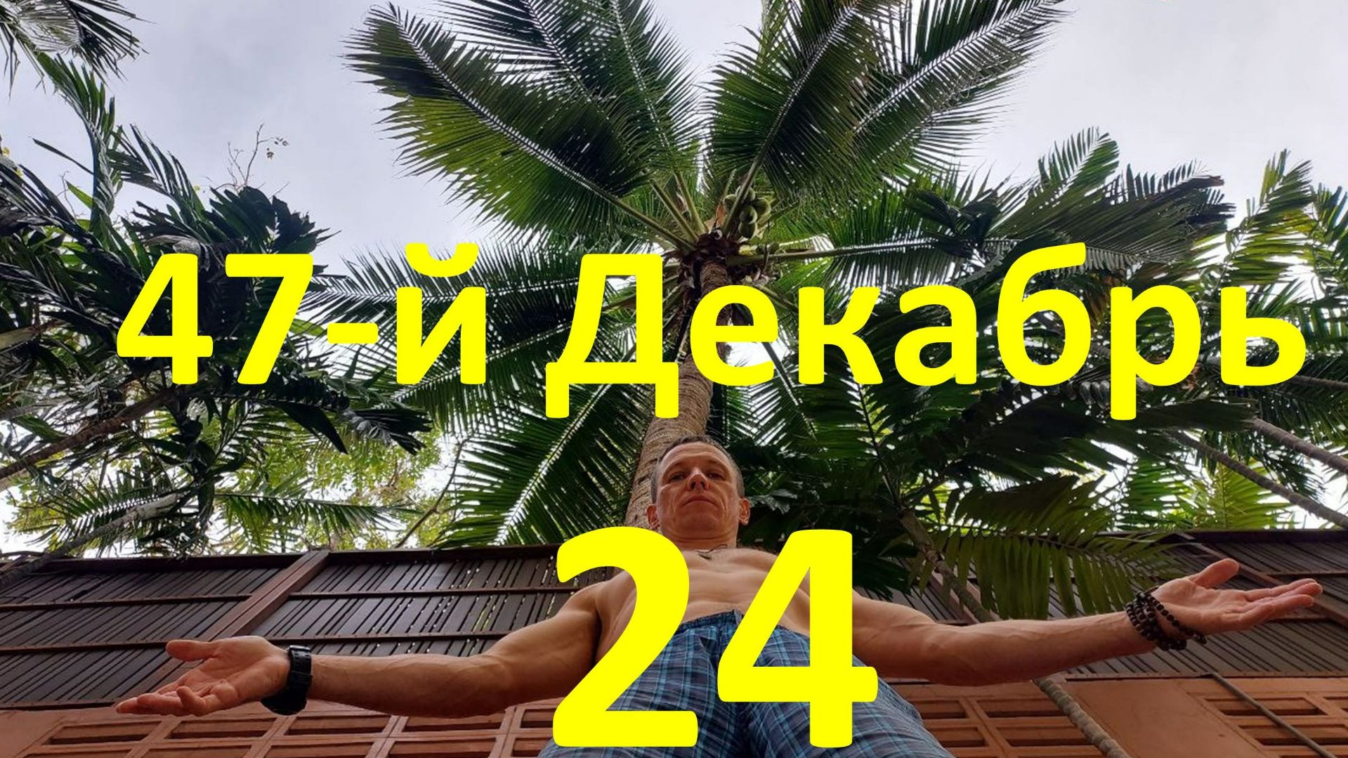 47-й Декабрь. День 24.