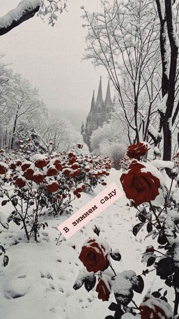 В зимнем саду