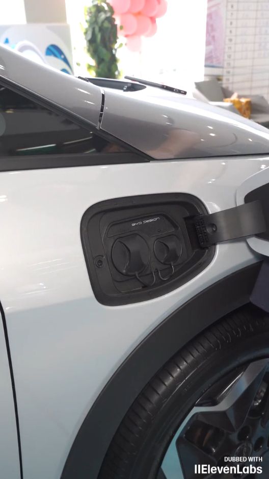 BYD Dolphin - Руководство по использованию зарядного устройства