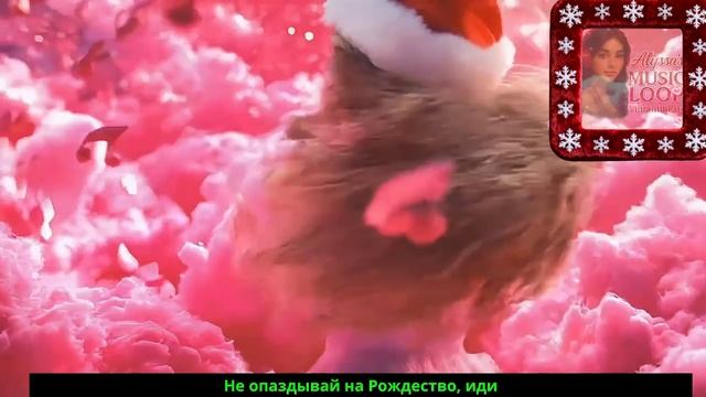 Не опаздывай на рождество