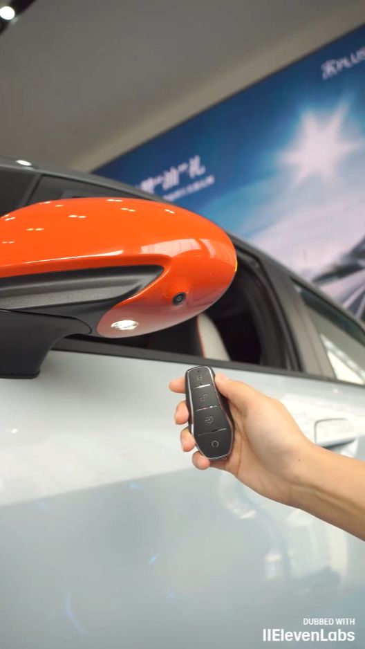 BYD Dolphin - Пояснение к функции приветствия