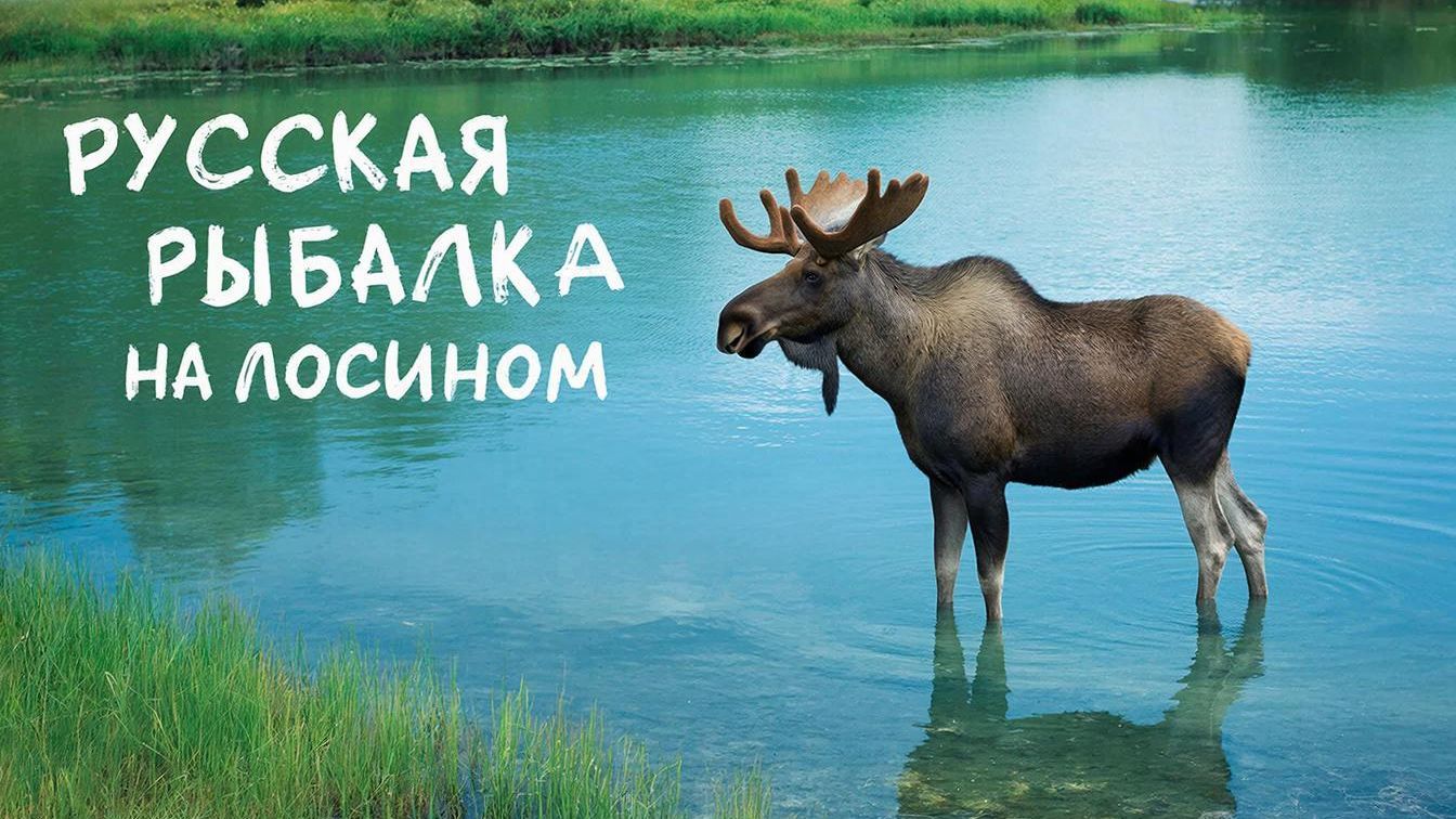 Русская рыбалка 4.На Лосином 05.01.26г.