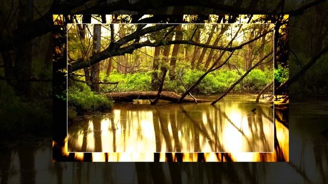 Electrical Suite - Тебе