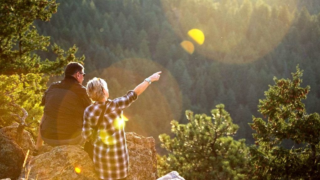 ВЗАИМОДЕЙСТВИЕ СОЗНАНИЯ С ОРГАНАМИ ФИЗИЧЕСКОГО ТЕЛА