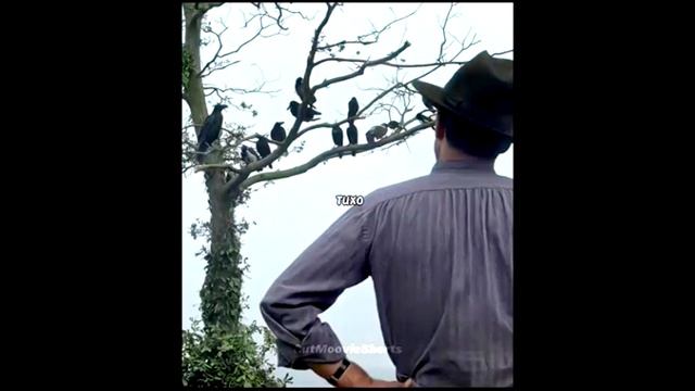 С ними можно договориться, они ведь не люди. А с кем?