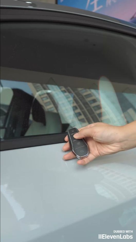 BYD Dolphin - Пояснение к дополнительным функциям ключа