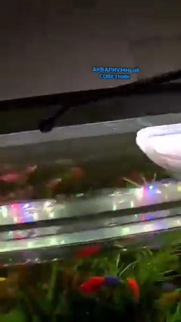 удобрения из глины