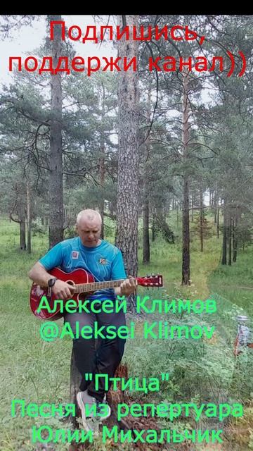 Куплет 2) "Птица" Кавер от Алексея Николаевича Климова