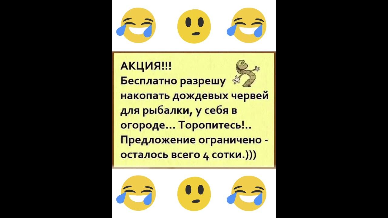 Юмор