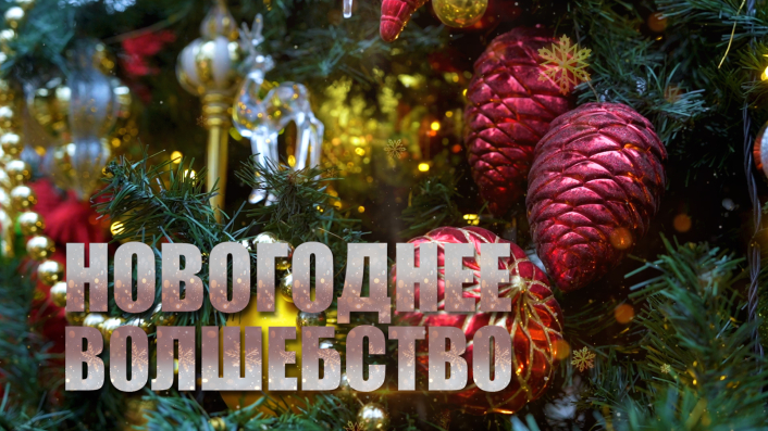 Специальный репортаж «Новогоднее волшебство»