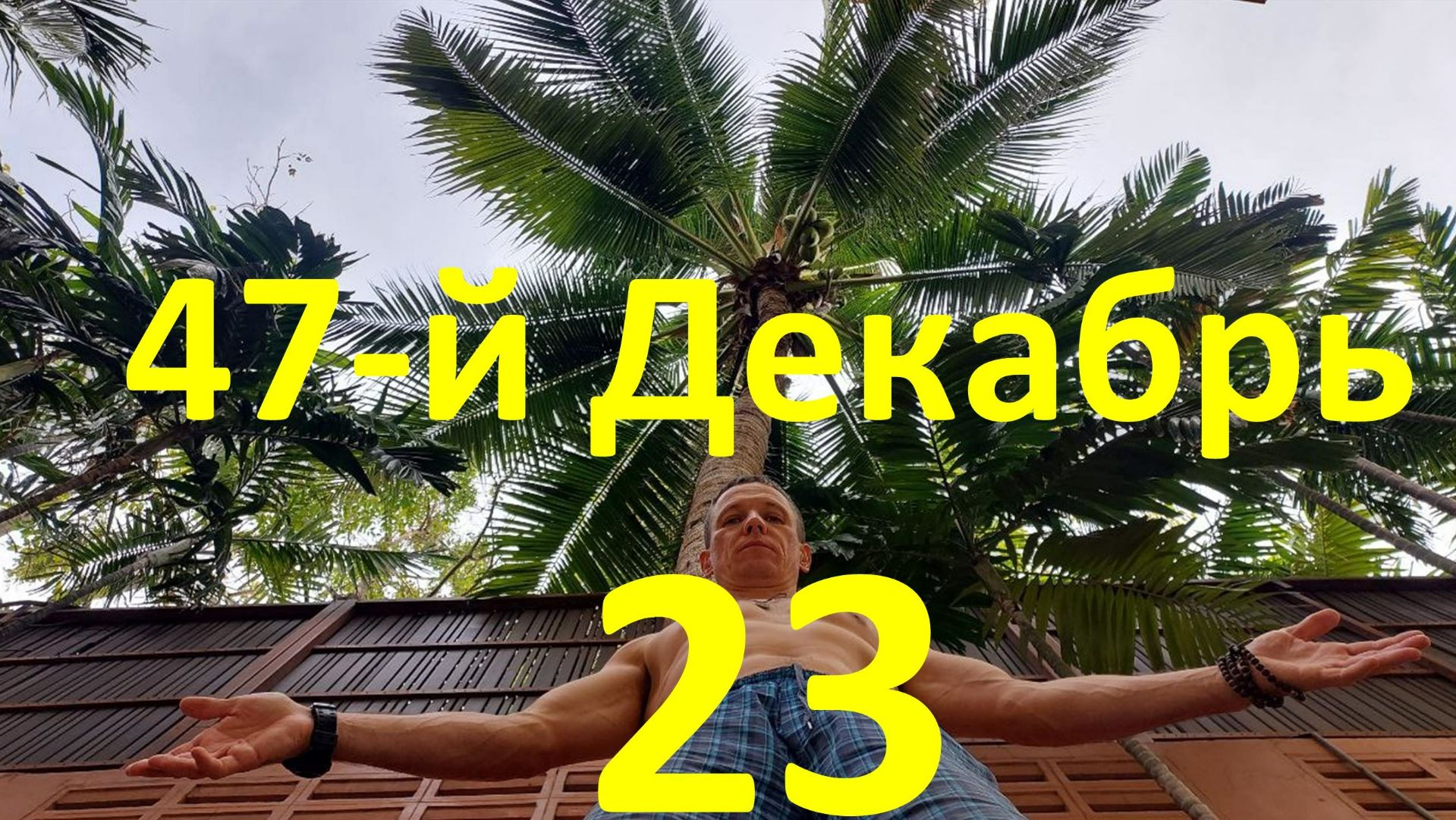 47-й Декабрь. День 23.