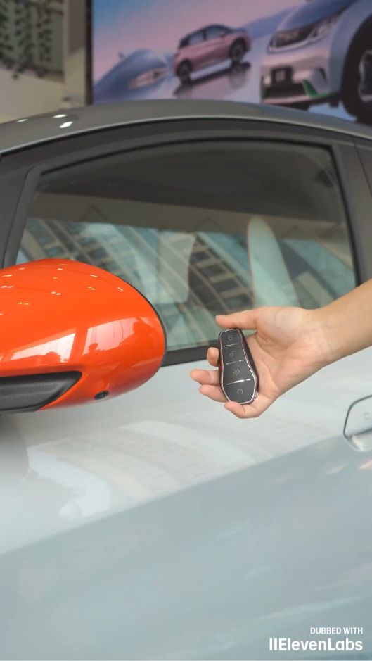 BYD Dolphin - Описание стандартного способа разблокировки дверей