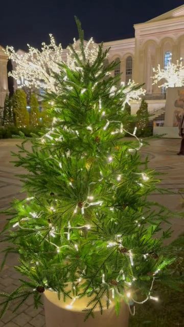 Приглашаю на прогулку по Новому Херсонесу