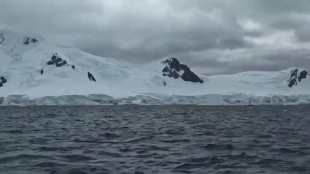 Антарктида...