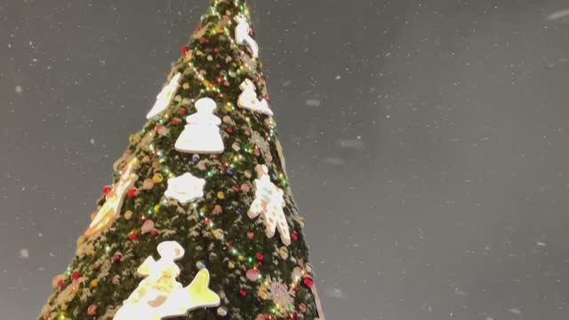 Елка на КРАСНОЙ ПЛОЩАДИ в Москве