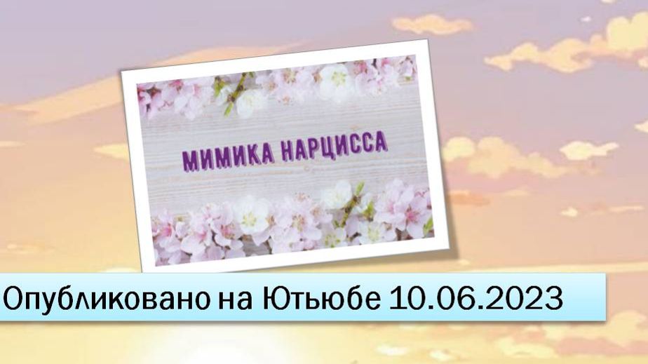 Мимика нарцисса (фрагменты эфира от 10.06.2023)
