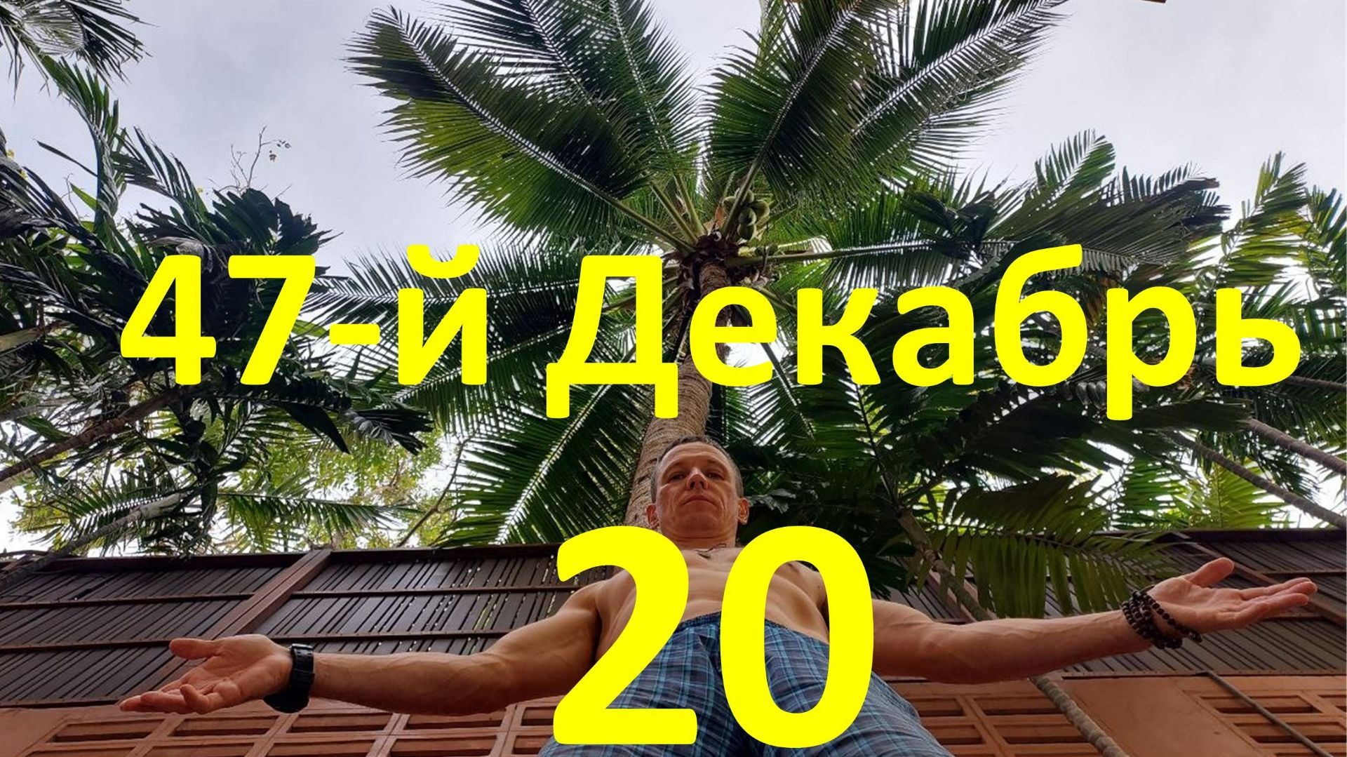 47-й Декабрь. День 20.