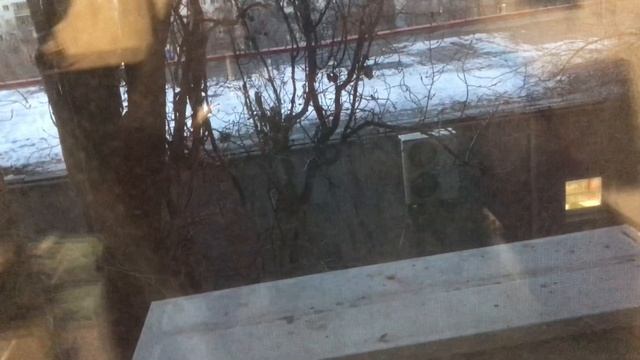 Страшные истории. № 2.