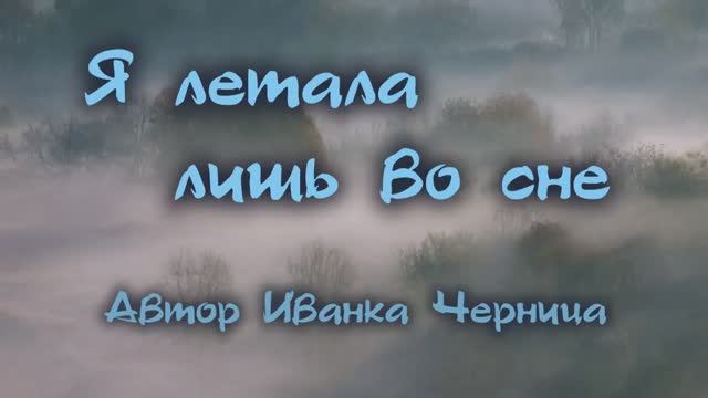 Я ЛЕТАЛА ЛИШЬ ВО СНЕ 2