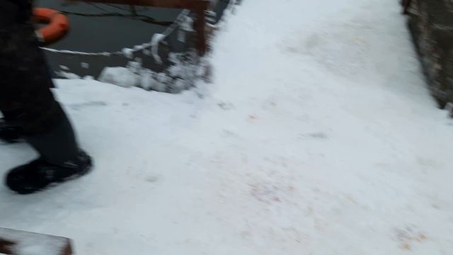 зарыбление 5.01