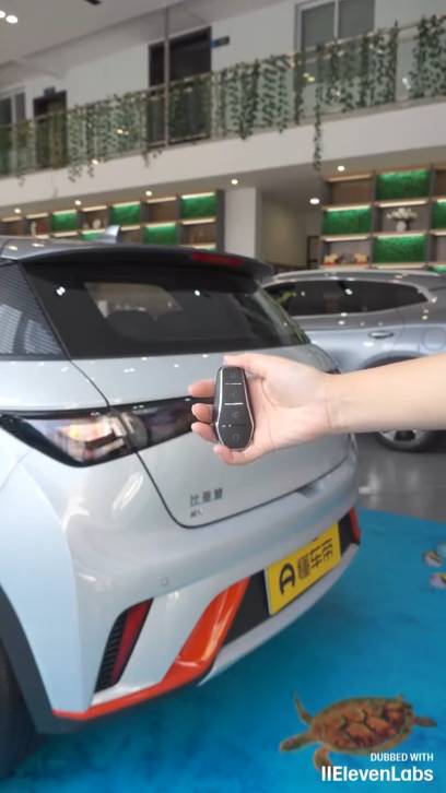 BYD Dolphin - Инструкция по использованию и аварийному открыванию задней двери багажника