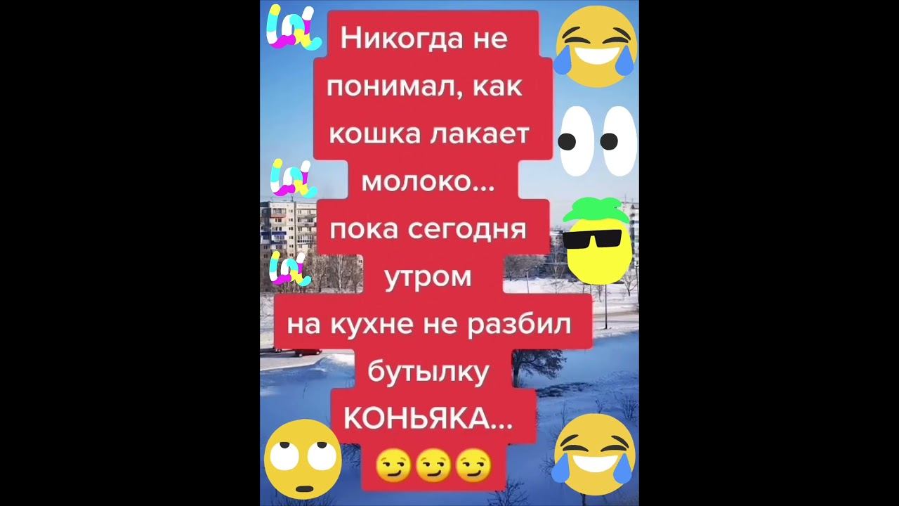 Юмор