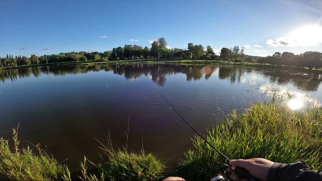 КАРАСЬ НА СПИННИНГ🔥🔥🔥