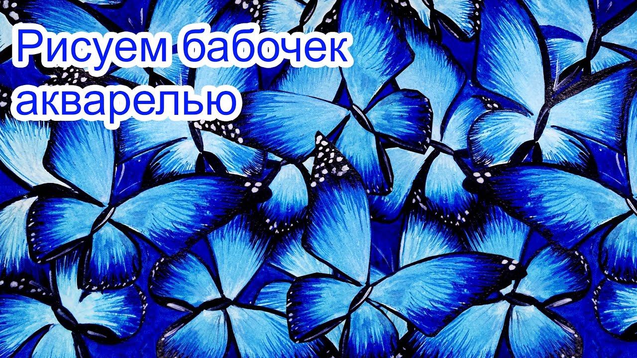Синие бабочки рисунок.