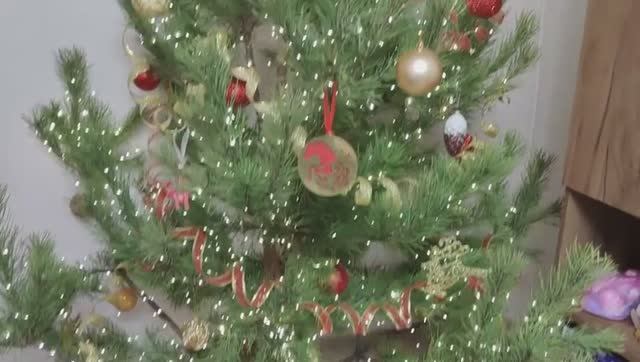 Ёлка Света, Серёжа 2026