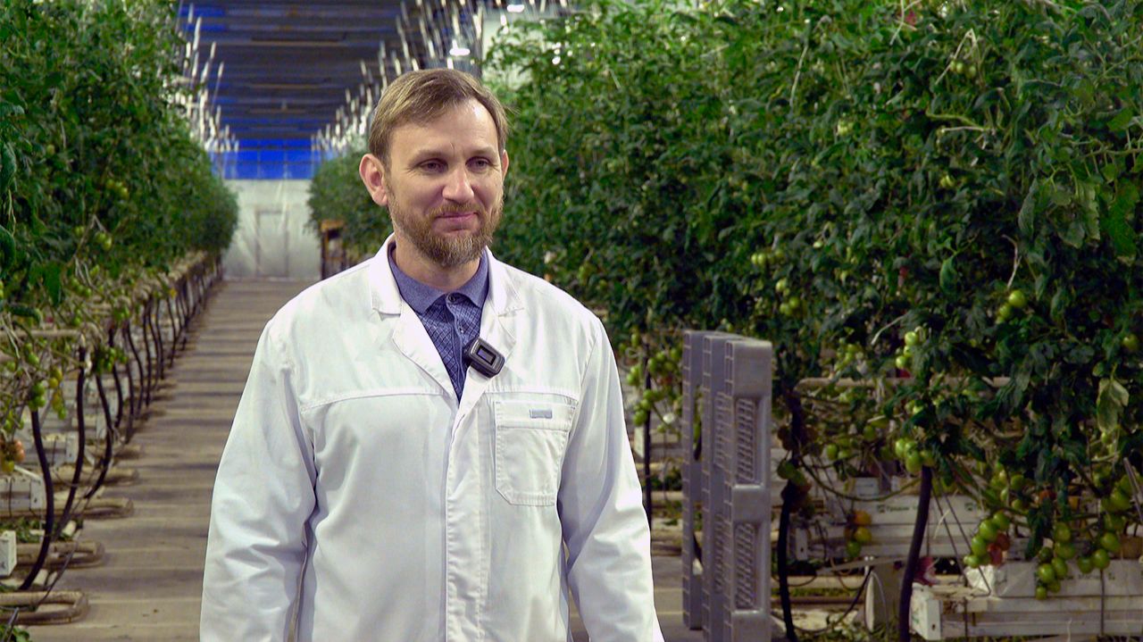 «Тепличный TV». Выпуск 88