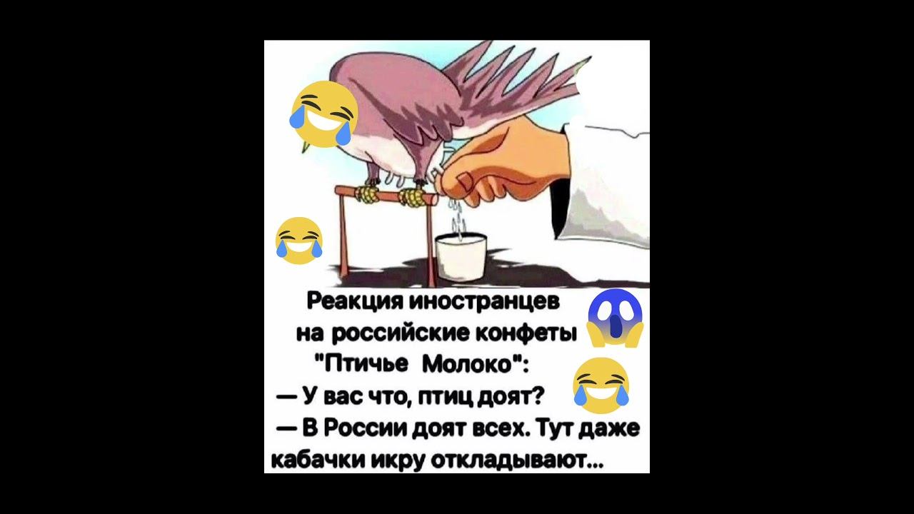 Юмор