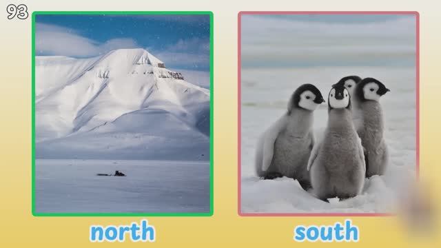 Учимся читать первые слова! Семейства слов -at, -am, -an, -ad. Английская фонетика для малышей.