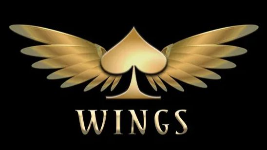 Серия Крылья - Шауд 03_04.11.2017_Кристина С. и Иван Повадырь