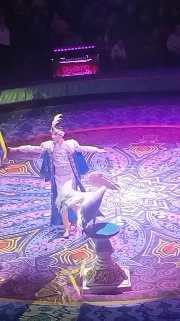 🥳🤯 Мир циркового искусства 🥰😍 ( ч.4)