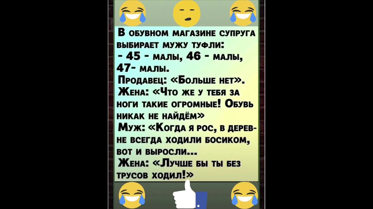 Юмор