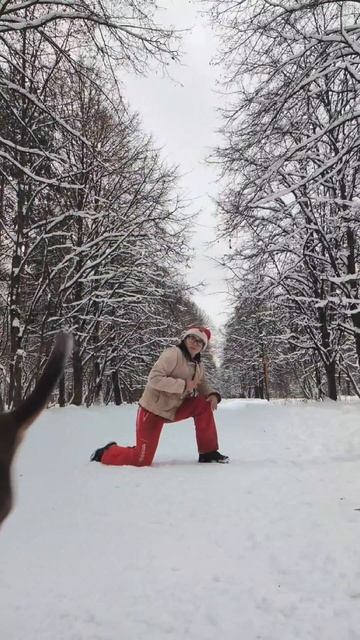 Спортивный Метис Нэтта - вольт от спины