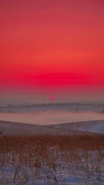 «Легат, мне выпал жребий рока» - Гиголаев Артур.