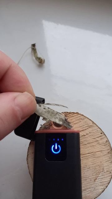 Электронная зажигалка и береста горит?