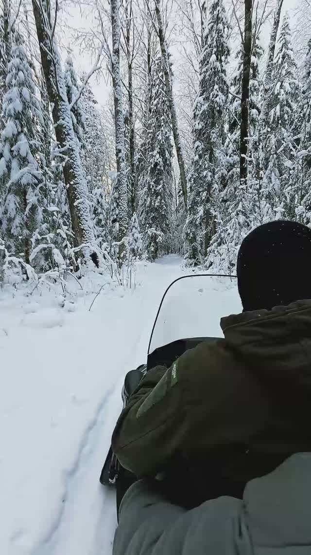 Новый Год 2026 (обратный путь)