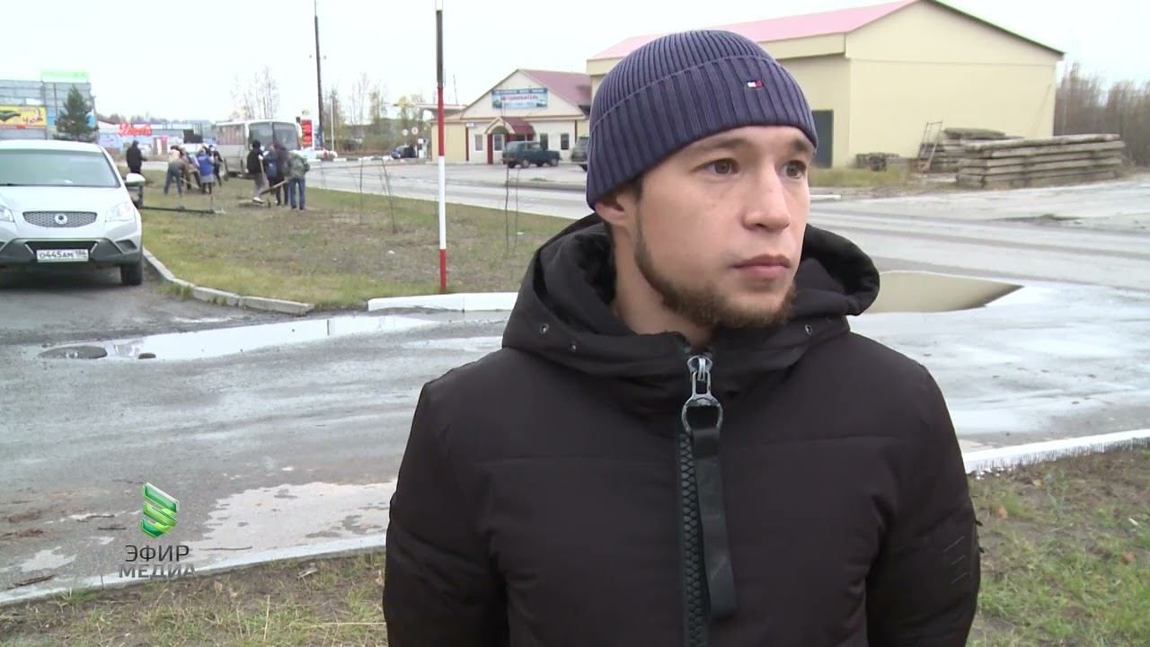 2022.10.11 Мегион Посадка деревьев