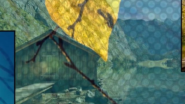 Emil Nikitin - Adios Amigo