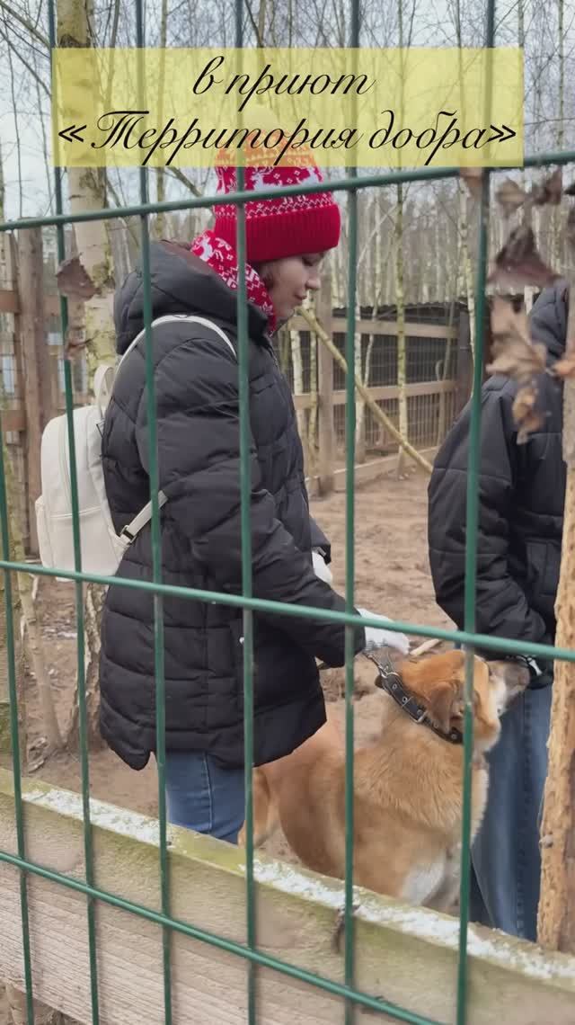 Они уже ждут следующей встречи! 🐶🐱❤️