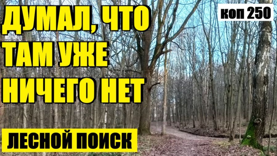 ВОТ ЧТО Я НАШЕЛ МЕЖДУ БЕРЕЗОЙ И ДУБОМ!  коп 250